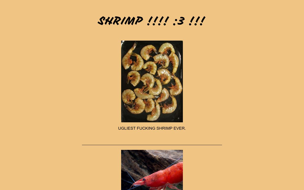 Shrimp Gallery